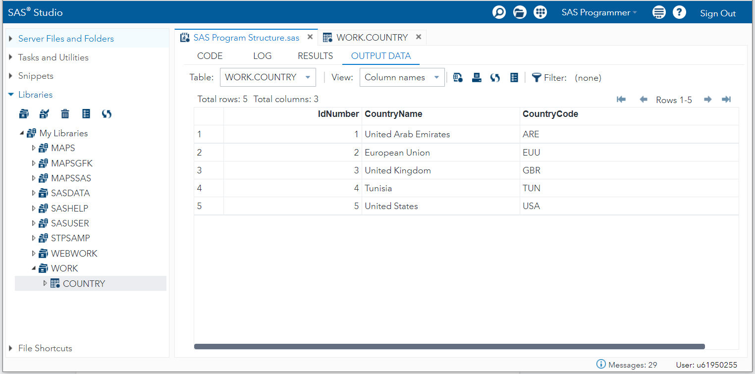 Sas Program Structure Data Step Proc Step And Output Step Learn Sas Code