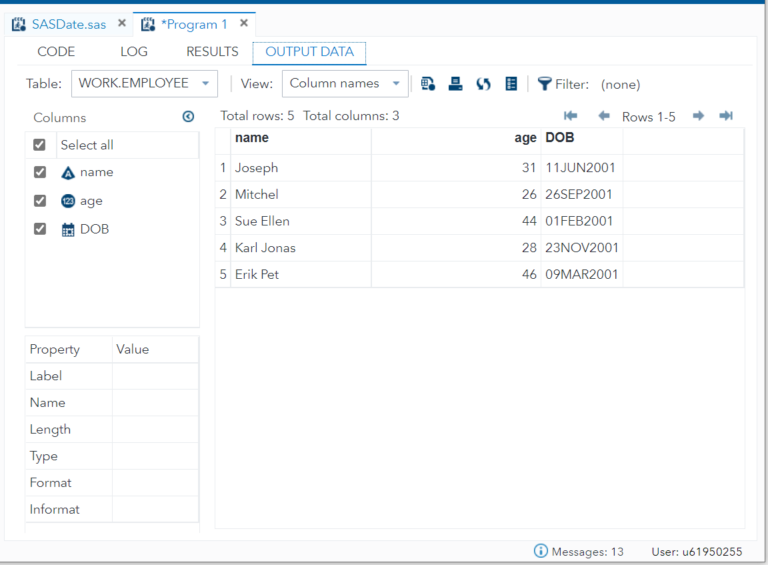 How To Print Data Values Into The Sas Log Learn Sas Code